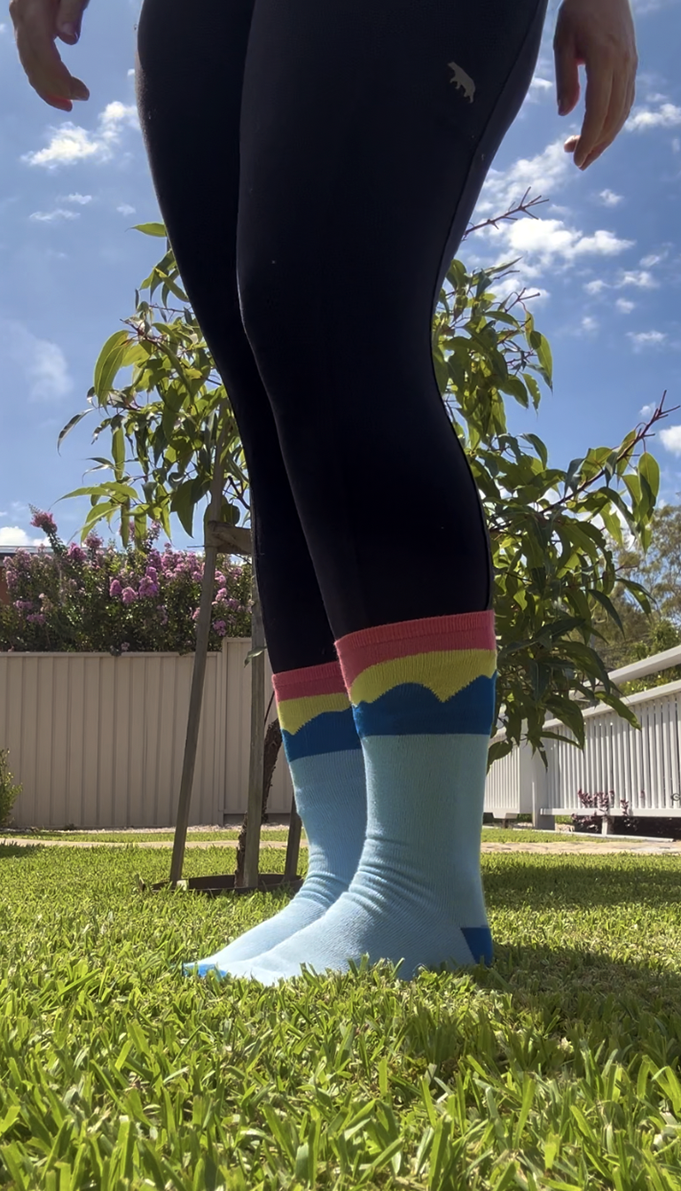Tick Socks