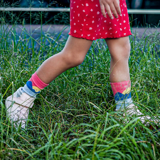 Tick Socks
