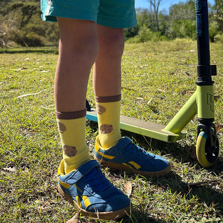 Tick Socks